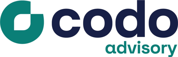 Codo Advisory株式会社の長期インターンシップ｜インターンシップガイド